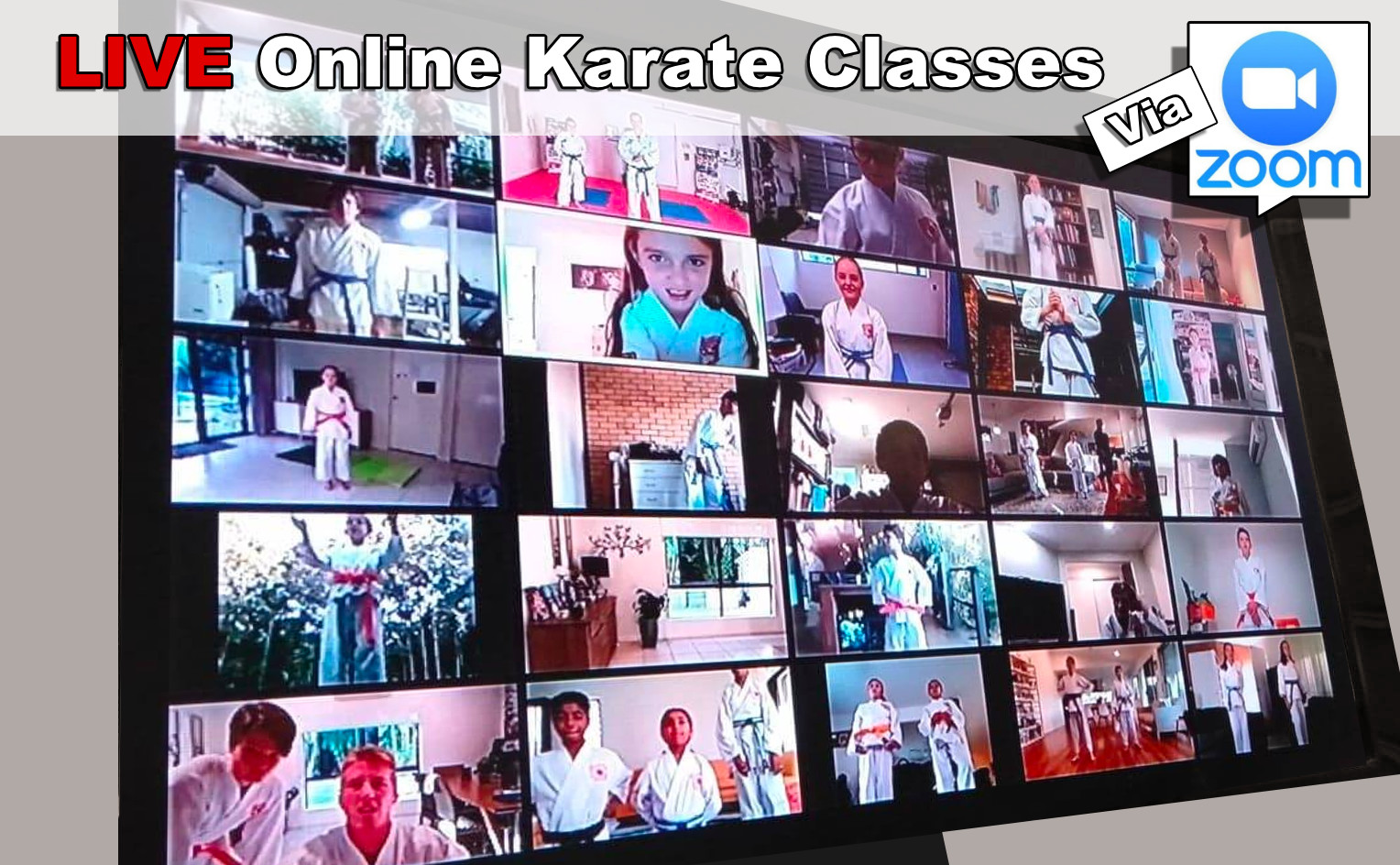 Online Classes - Karate 4 Life